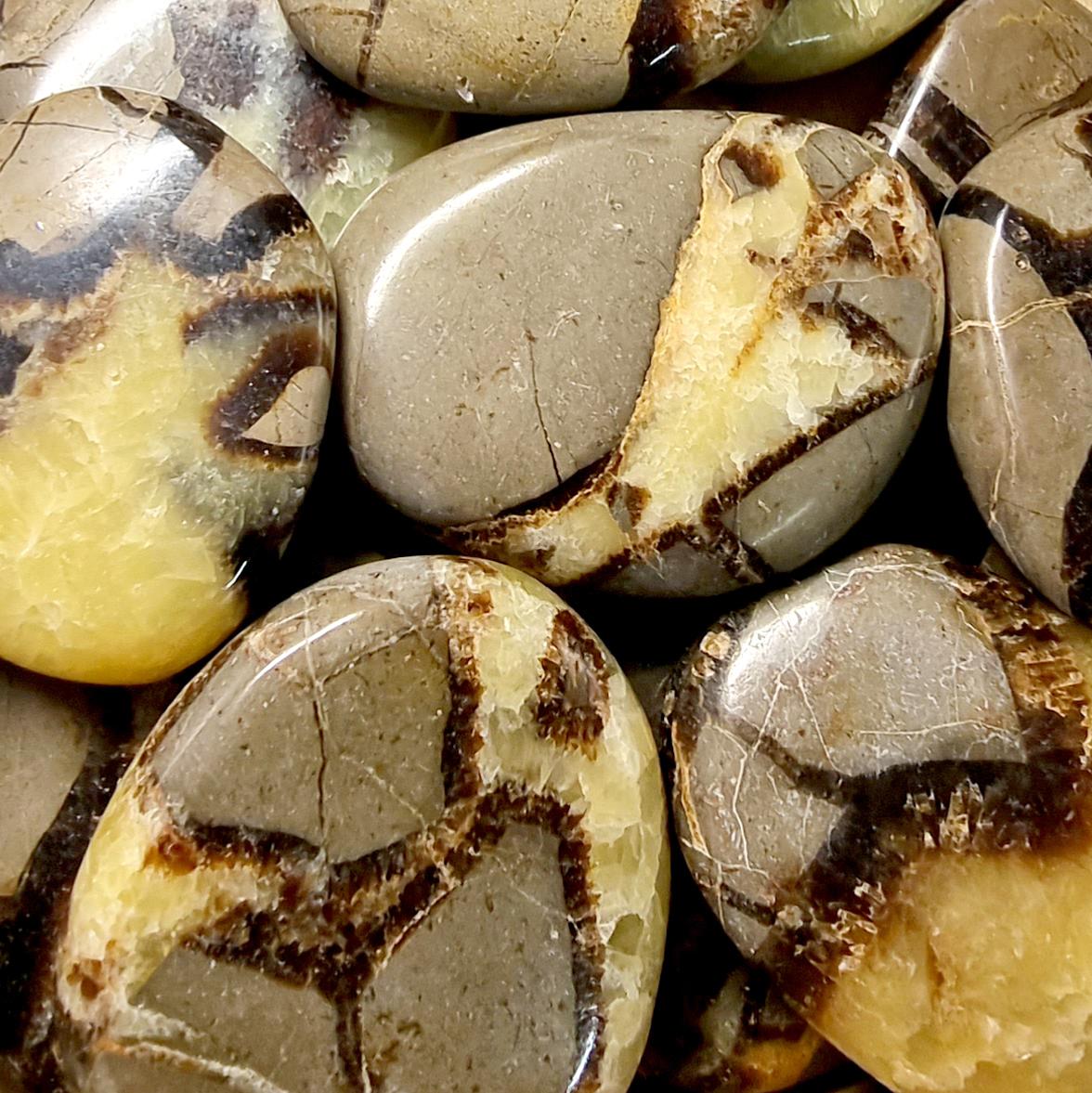 Septaria - pierre plate